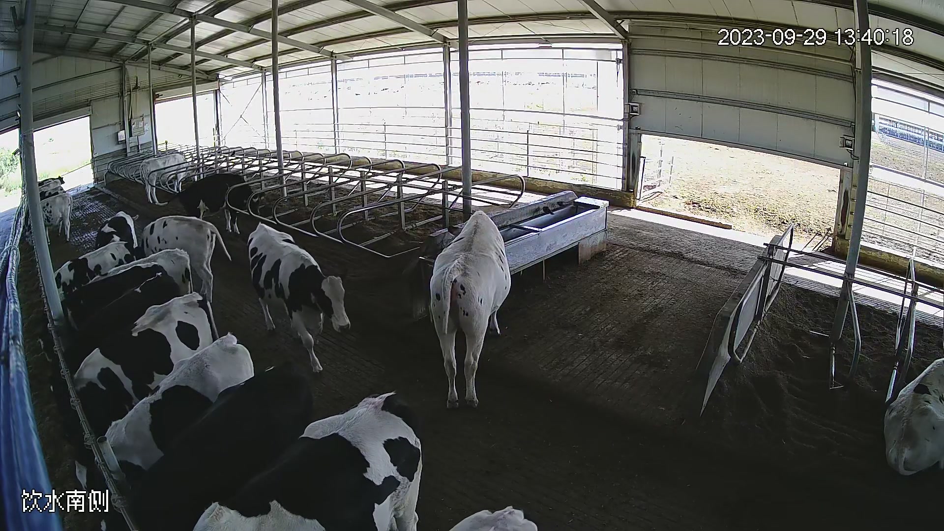 YOLO (yolo-0afwu) - Roboflow Universe