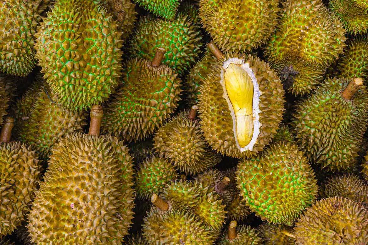 durian Object Detection Model by fruitaid