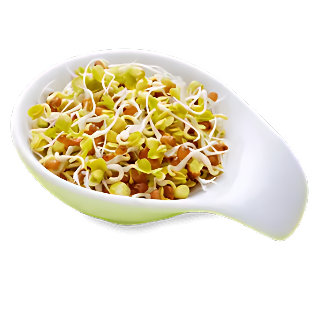 Food Items food items ybto5 Roboflow Universe food-items-food-items-ybto5-roboflow-universe