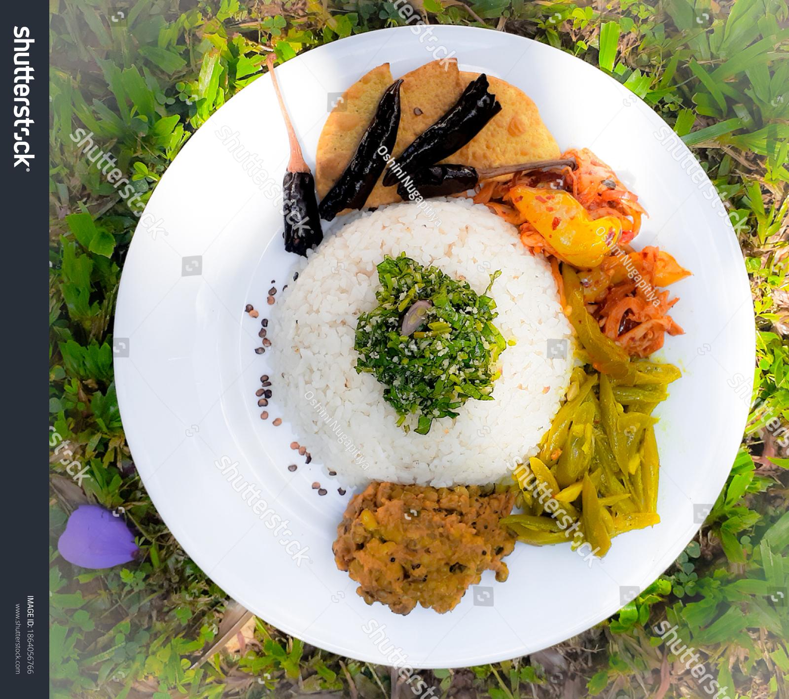 Meal-Recog-Segment2 Instance Segmentation Dataset and Pre-Trained Model ...