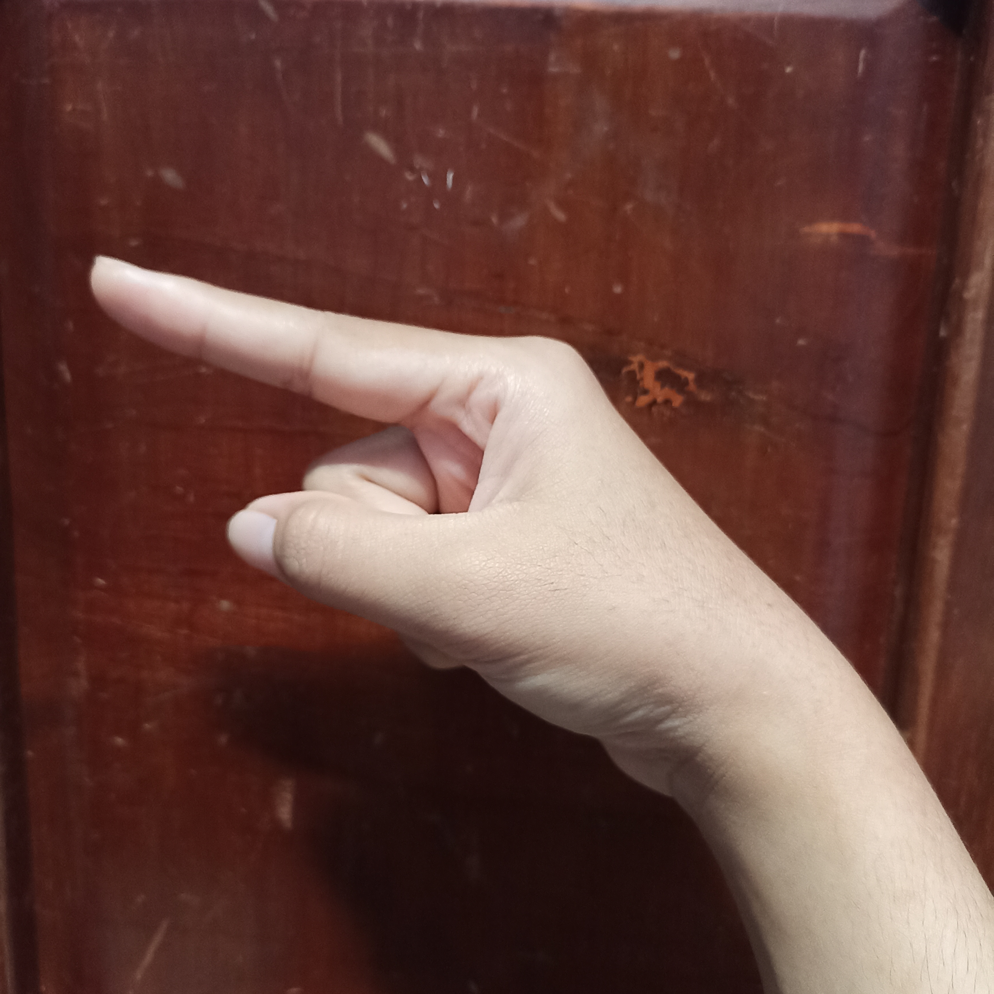 j_z_signlanguage-detection Object Detection Dataset by SIBI