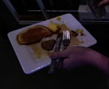 Final_Merged Object Detection Dataset by Ivan Human and Plate