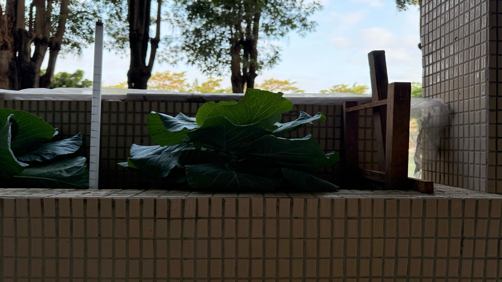 Li Object Detection Dataset By Lin Chen