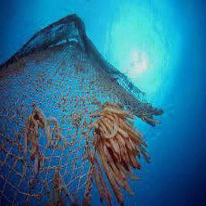 Ocean Garbage Object Detection Dataset by Charles Darwin University