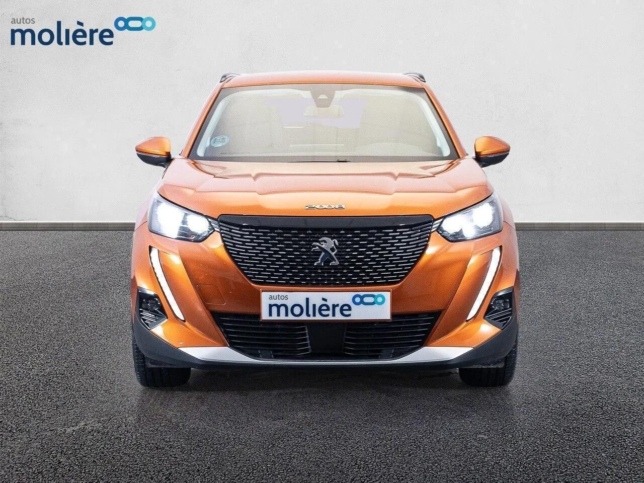 car-seg Instance Segmentation Model by segmentationcar