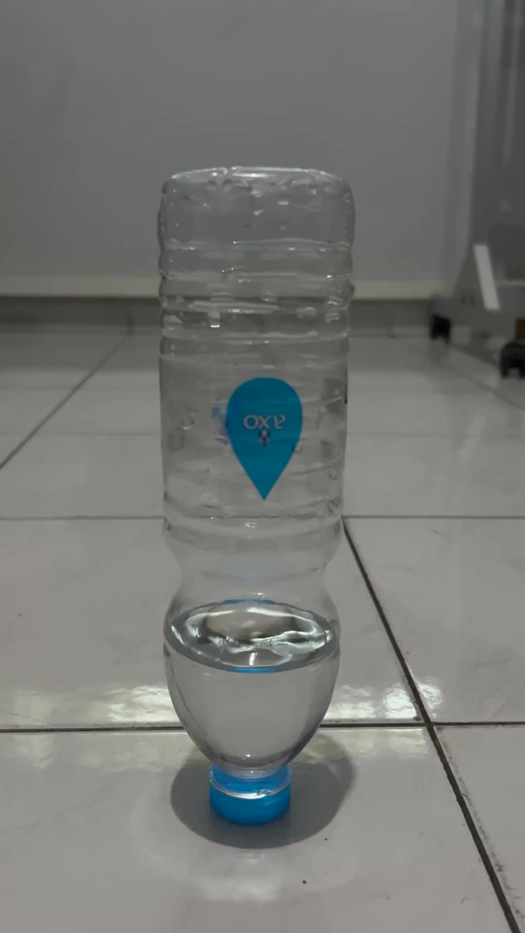 Tugas Kelompok Object Detection Dataset And Pre Trained Model By Botol