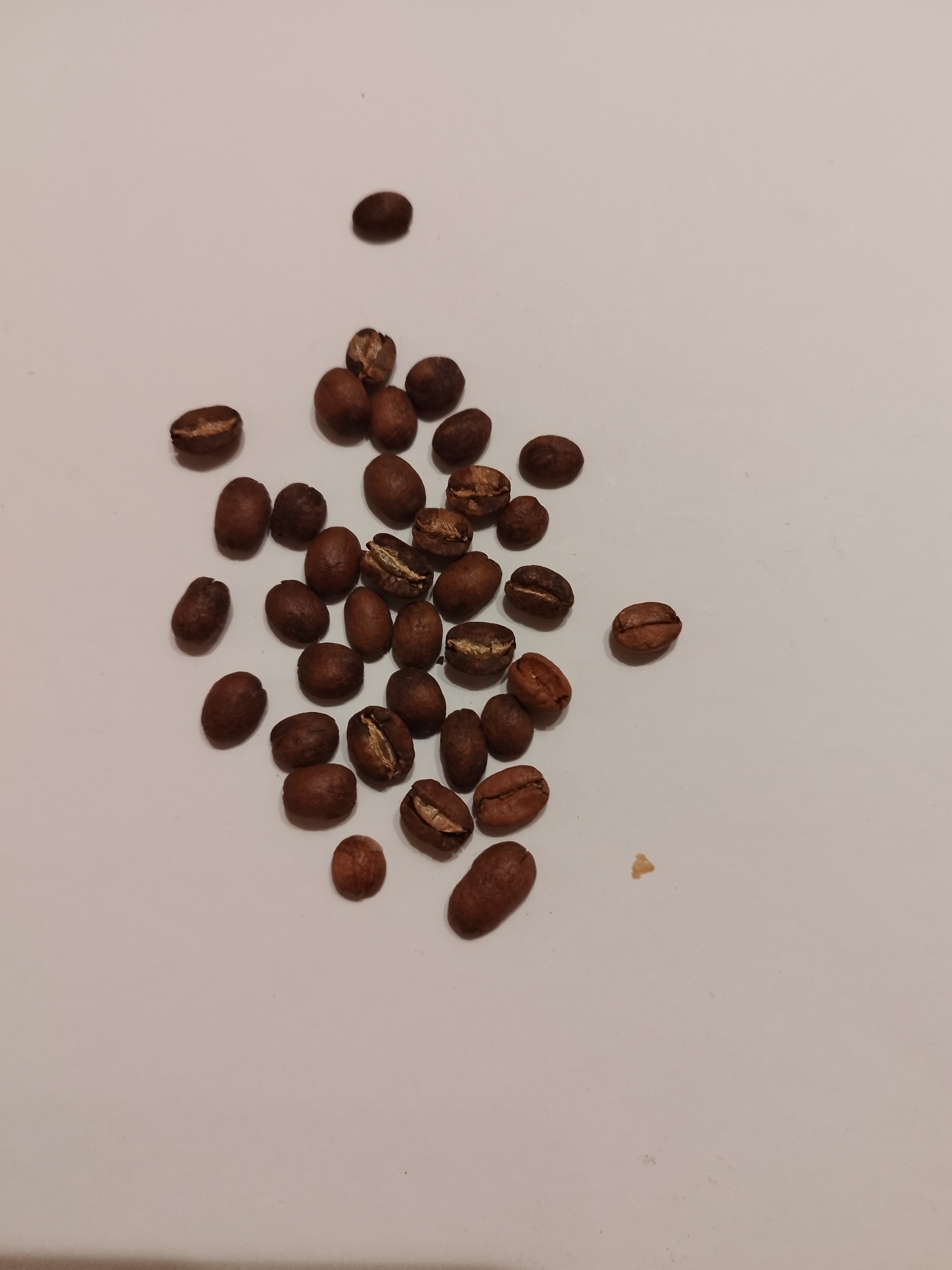 Coffee beans Object Detection Model by Coffee