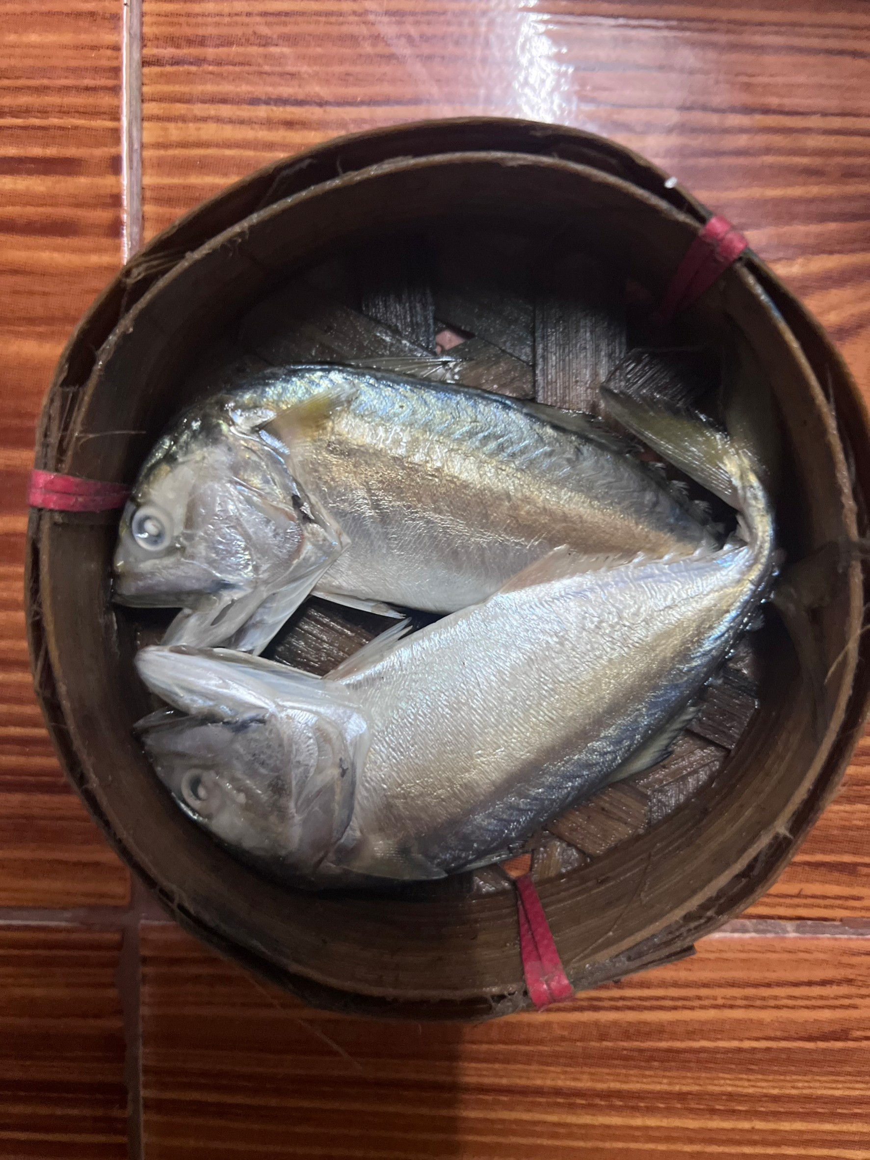 fish Object Detection Dataset by project-l5n5x