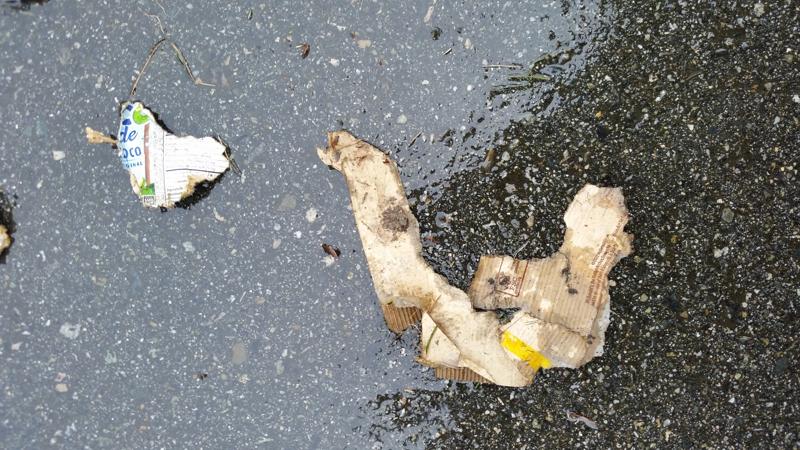 trash Object Detection Dataset and Pre-Trained Model by jericko