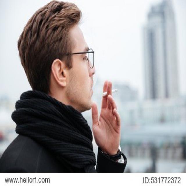 cigarette Object Detection Dataset and Pre-Trained Model by cigarette