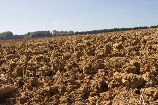 soil detection Instance Segmentation Dataset by soil detection