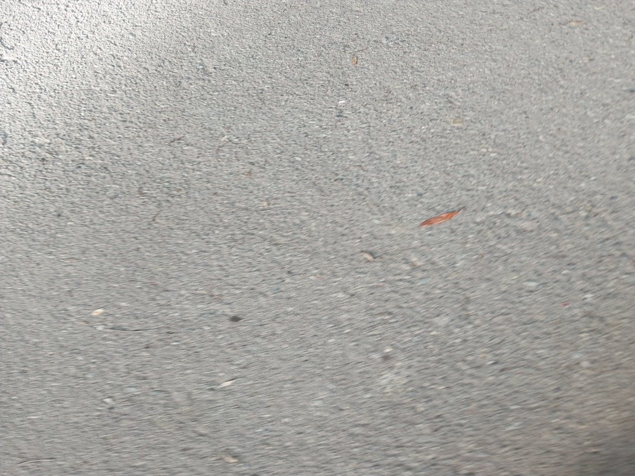 My First Project Instance Segmentation Dataset by mywork