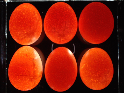 Egg Fertility Object Detection Dataset By Electronic Engineering