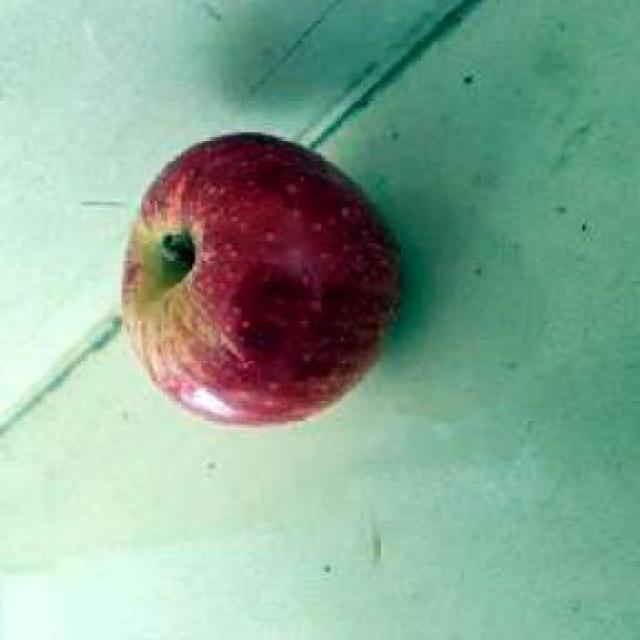 Fruit Detection Object Detection Dataset And Pre Trained Model By Brendan Moody