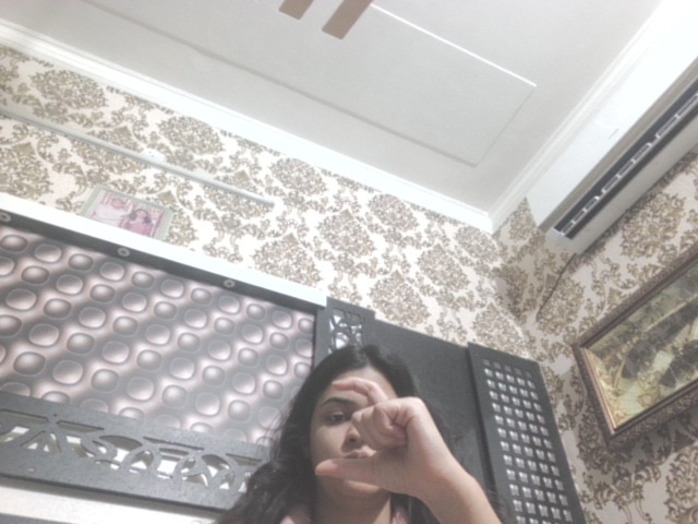 hand gesture Object Detection Model by thapar institute