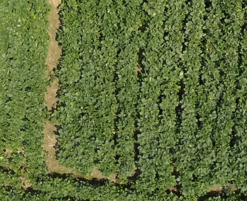 Dna3 Object Detection Dataset By The Peach