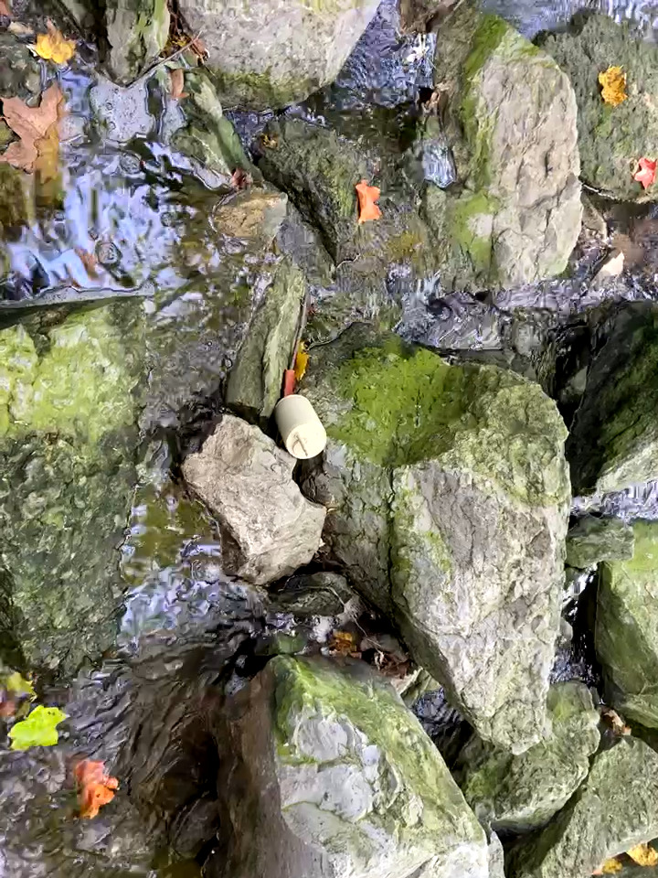 Printcheck3 Object Detection Dataset And Pre Trained Model By Oleksandr Kunichik