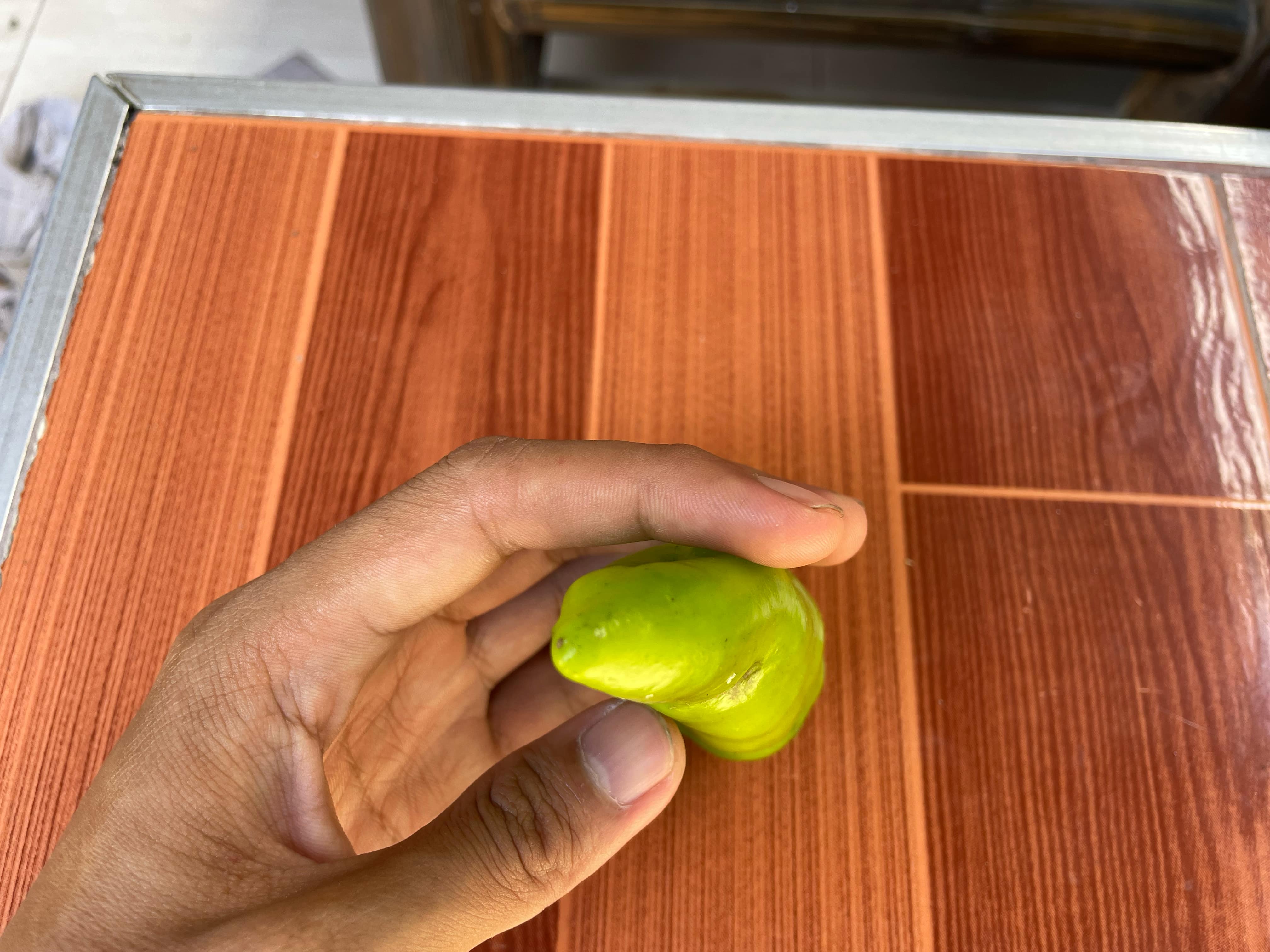 BELLPEPPER_PROJECT2 Object Detection Dataset by VincentDataset