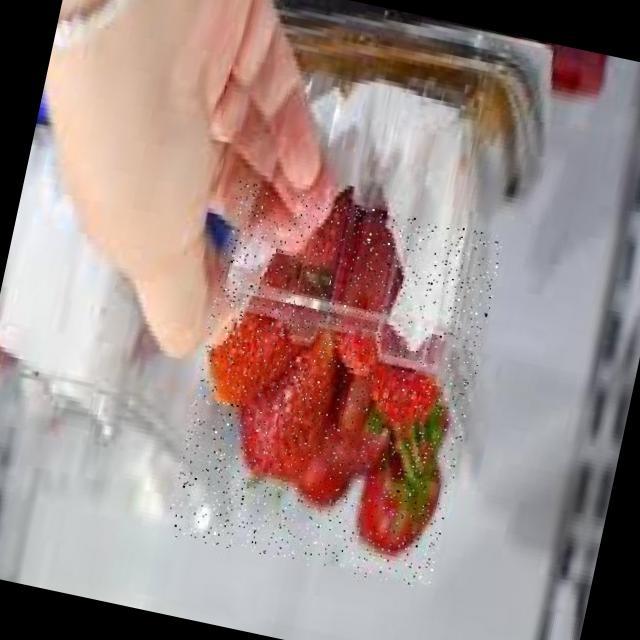 Fruits Object Detection Model by DTU