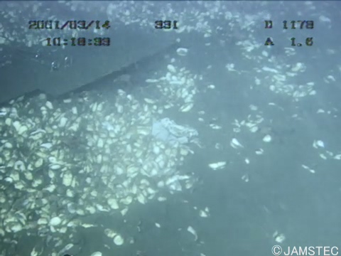 debris - Roboflow Universe