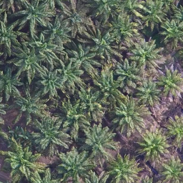 Custom Workflow Object Detection Object Detection Dataset by RANO WIRAJAYA RAHARJA