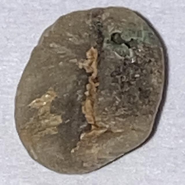 bad-coffee-bean Classification Model by detect bad coffee bean