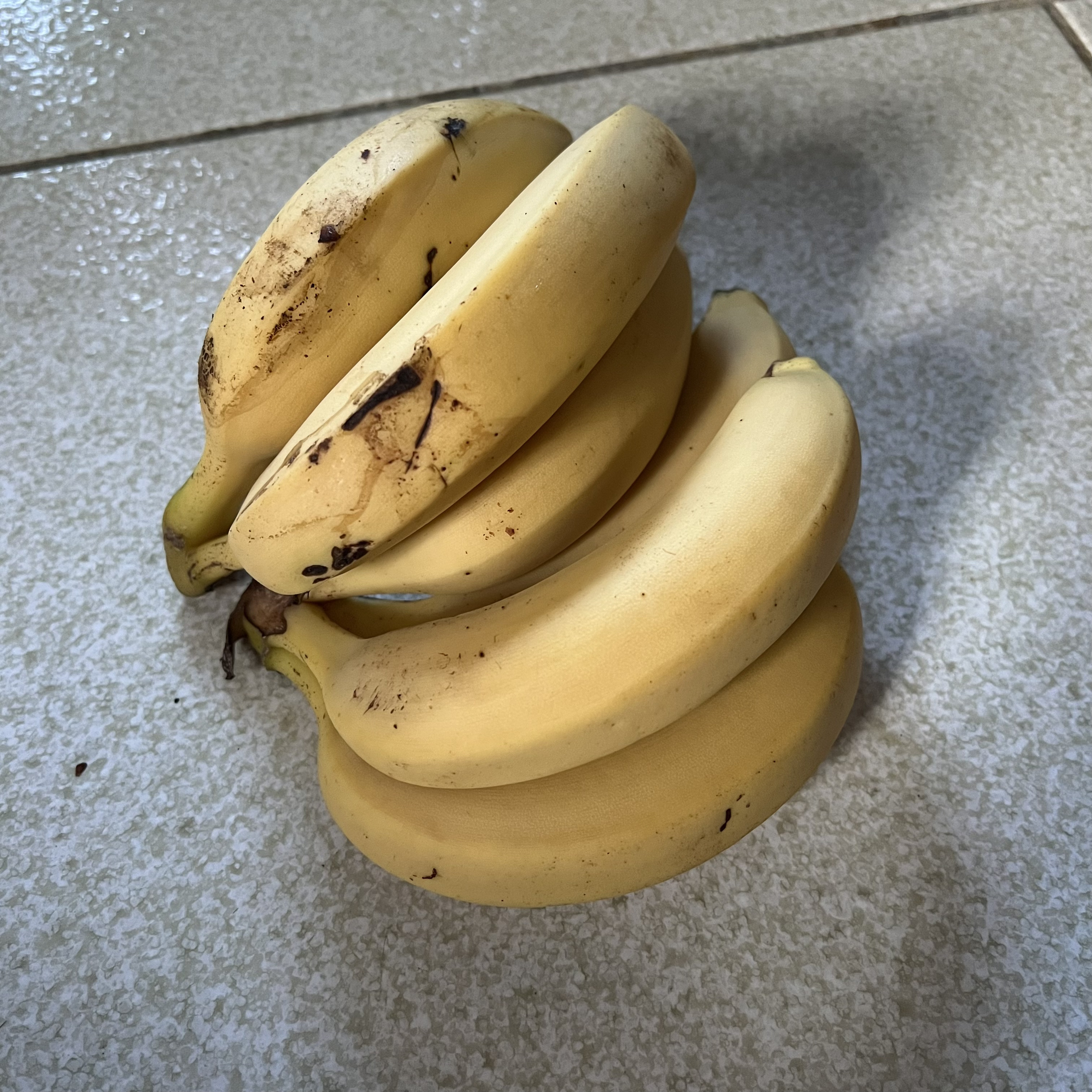 Fruit Detection Object Detection Dataset And Pre Trained Model By School