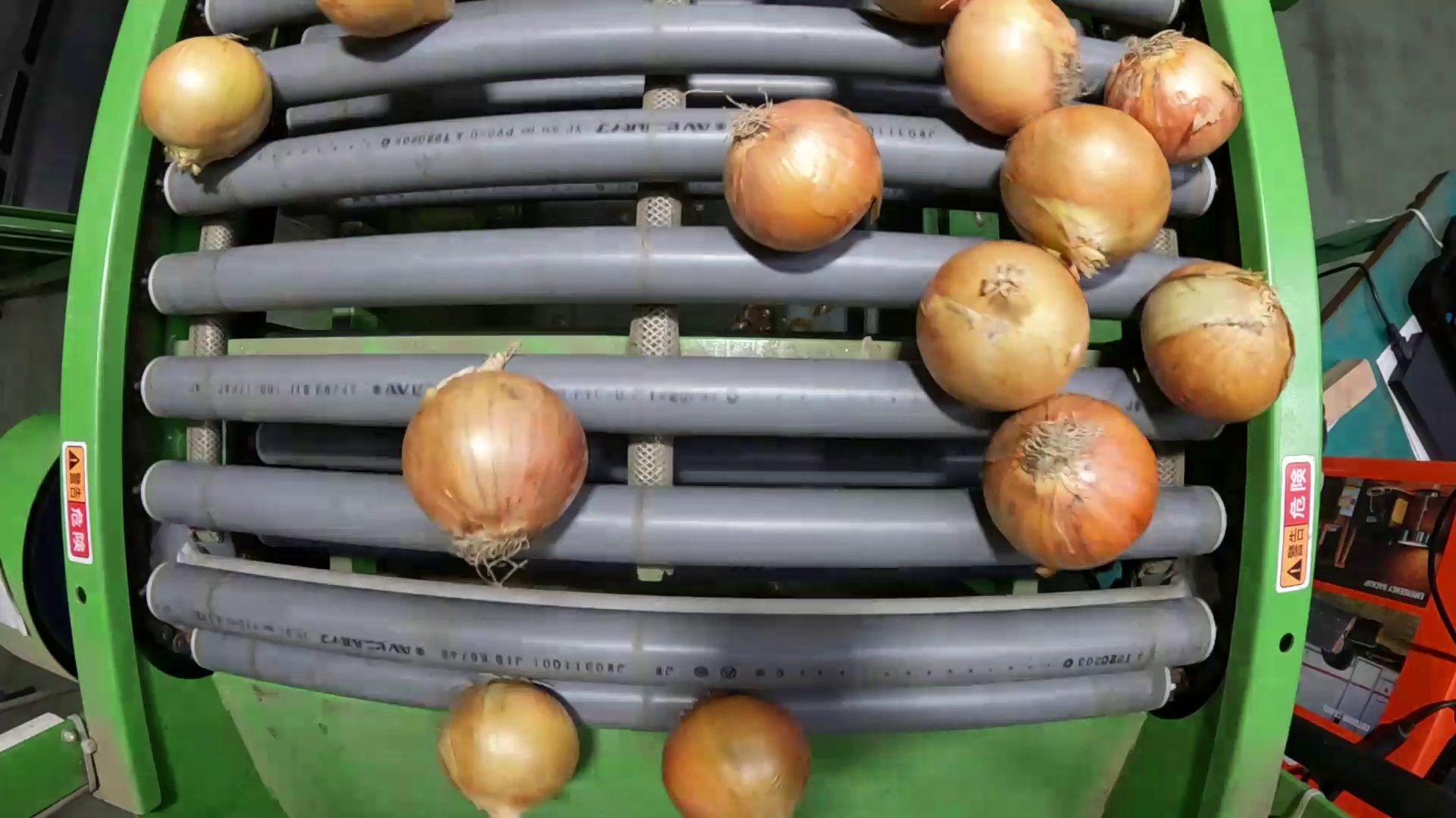 onion_akita Object Detection Dataset by YAMANASHI