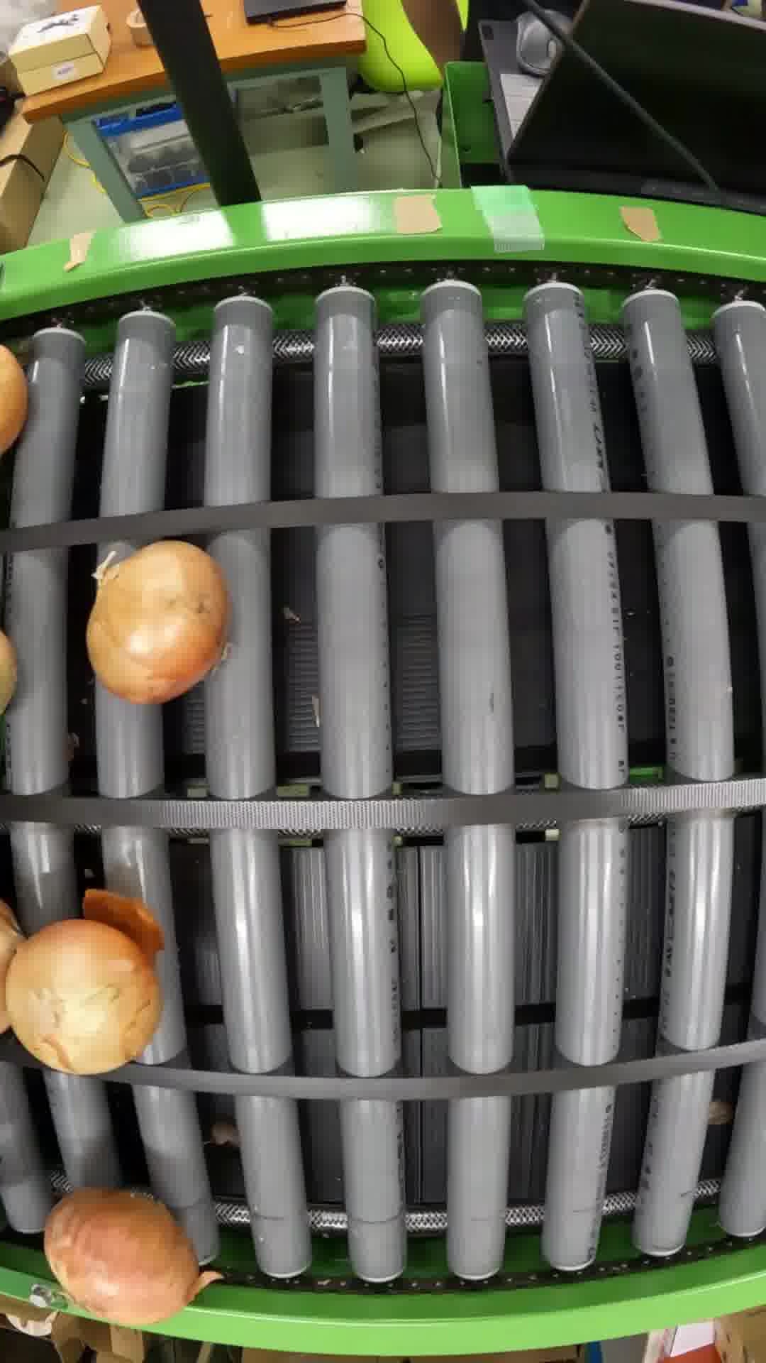 fliped_Onion Object Detection Dataset by YAMANASHI