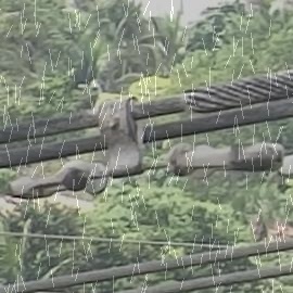 powerline-fault detection Object Detection Model by Fault detection