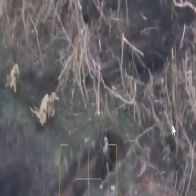 yolov6_fast Object Detection Dataset and Pre-Trained Model by proj