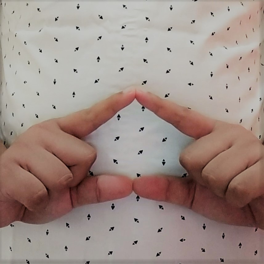 Bisindo Object Detection Dataset And Pre Trained Model By Bisindo