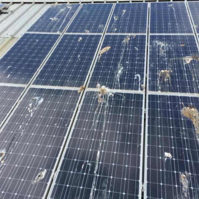 Solar Image Segmentation Instance Segmentation Dataset By Kotapona 2024