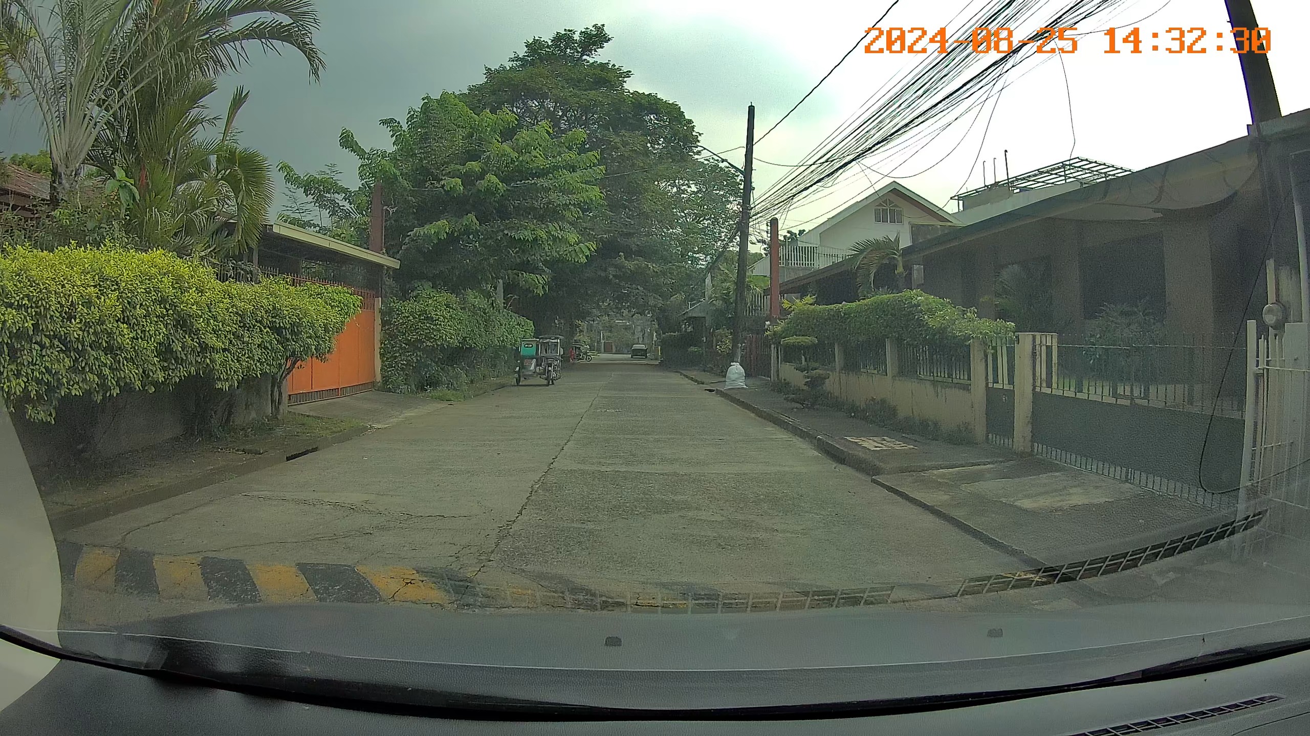 Stray Animals Object Detection Dataset by Thesis Paper