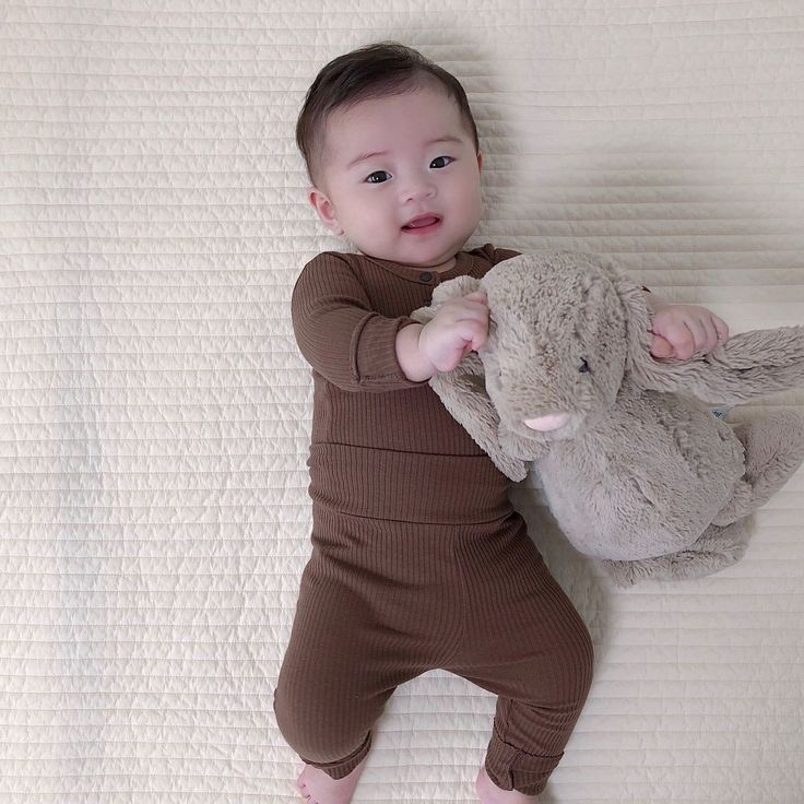 segmentasi Instance Segmentation Model by stellamarisa