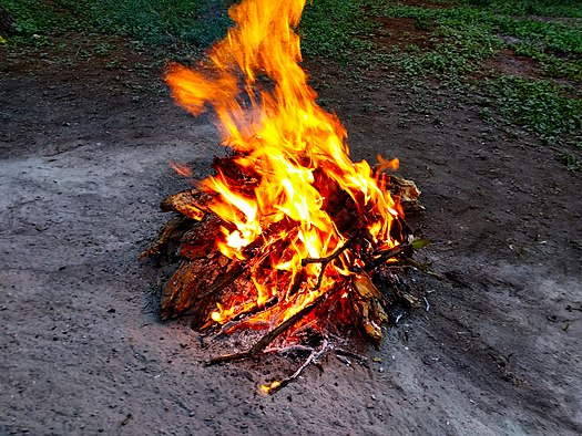 FIRE MODELS Object Detection Dataset and Pre-Trained Model by NICO