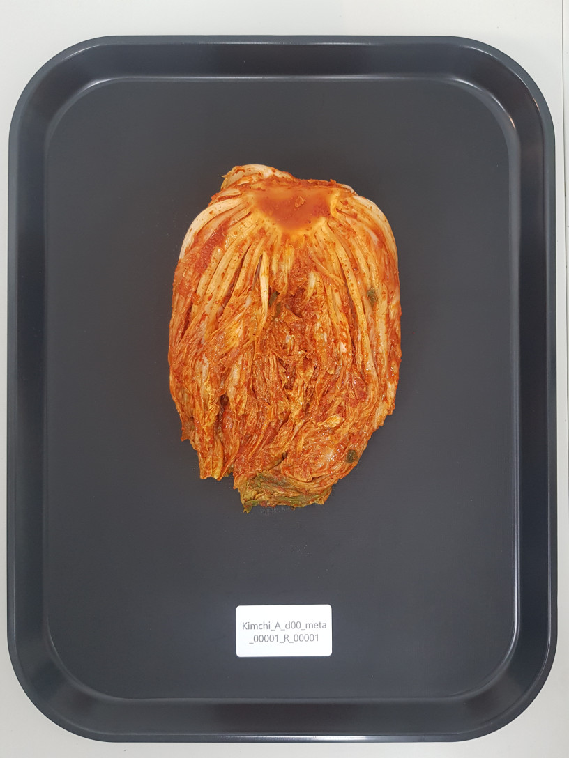 kimchi2 Instance Segmentation Dataset by Yeongeun Heo