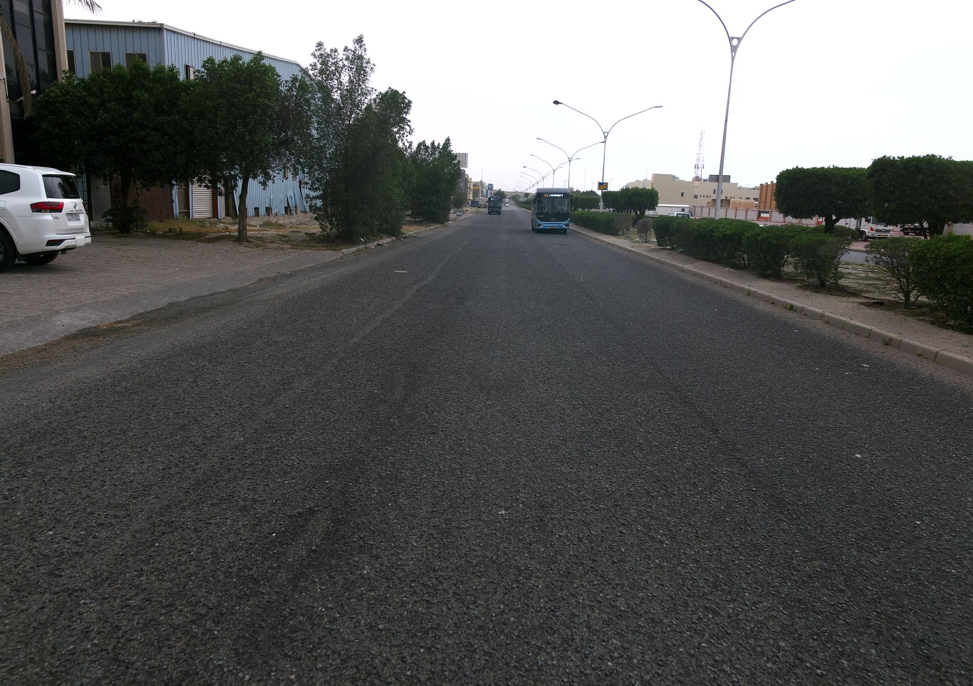 road Instance Segmentation Dataset by road