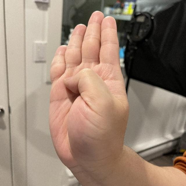 Open-Closed Object Detection Model by Sebastian Adirian