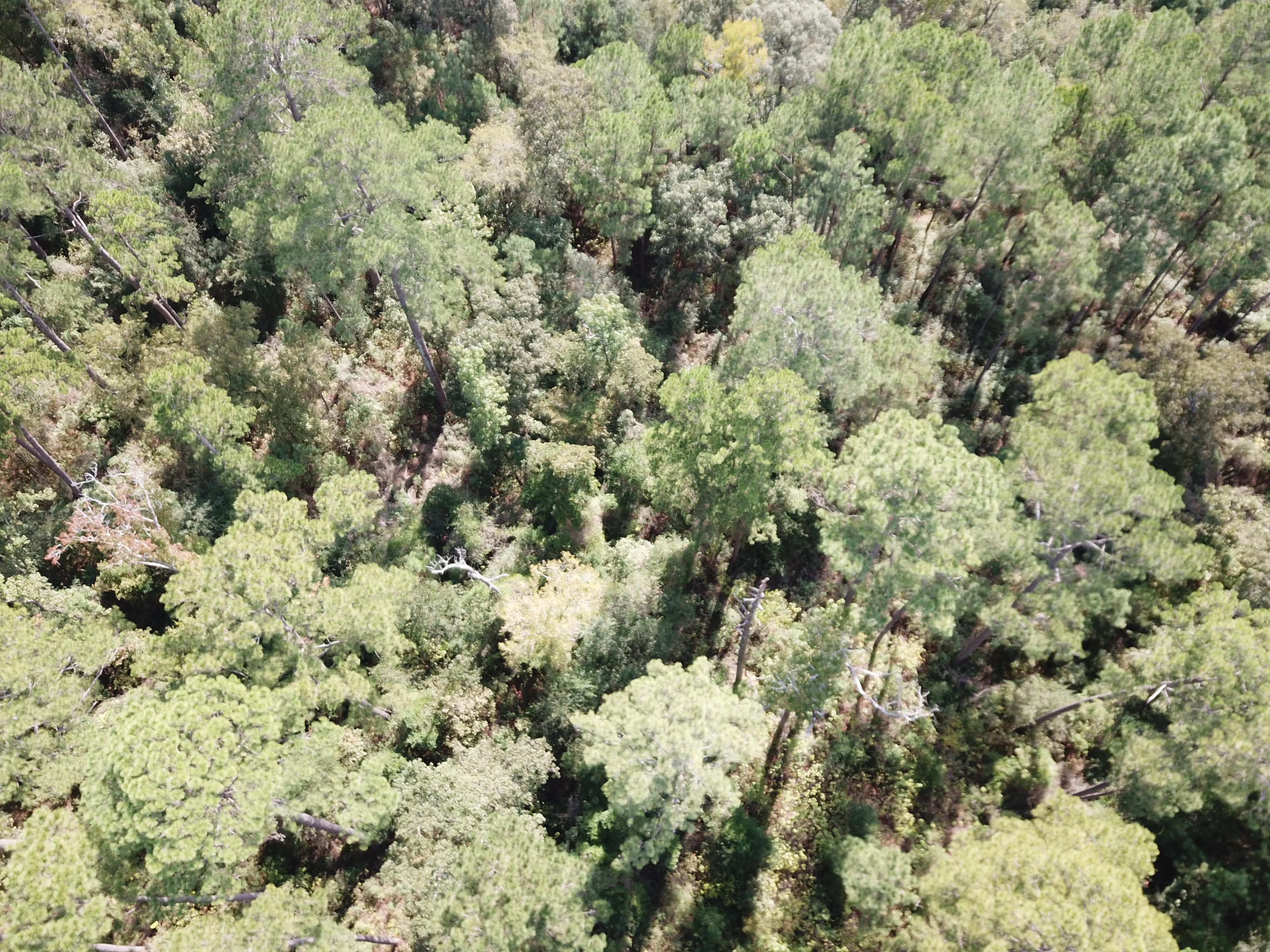 RWC_V2_534_images Object Detection Dataset by RCW Datasets