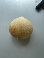 Coconut Sorting - Roboflow Universe