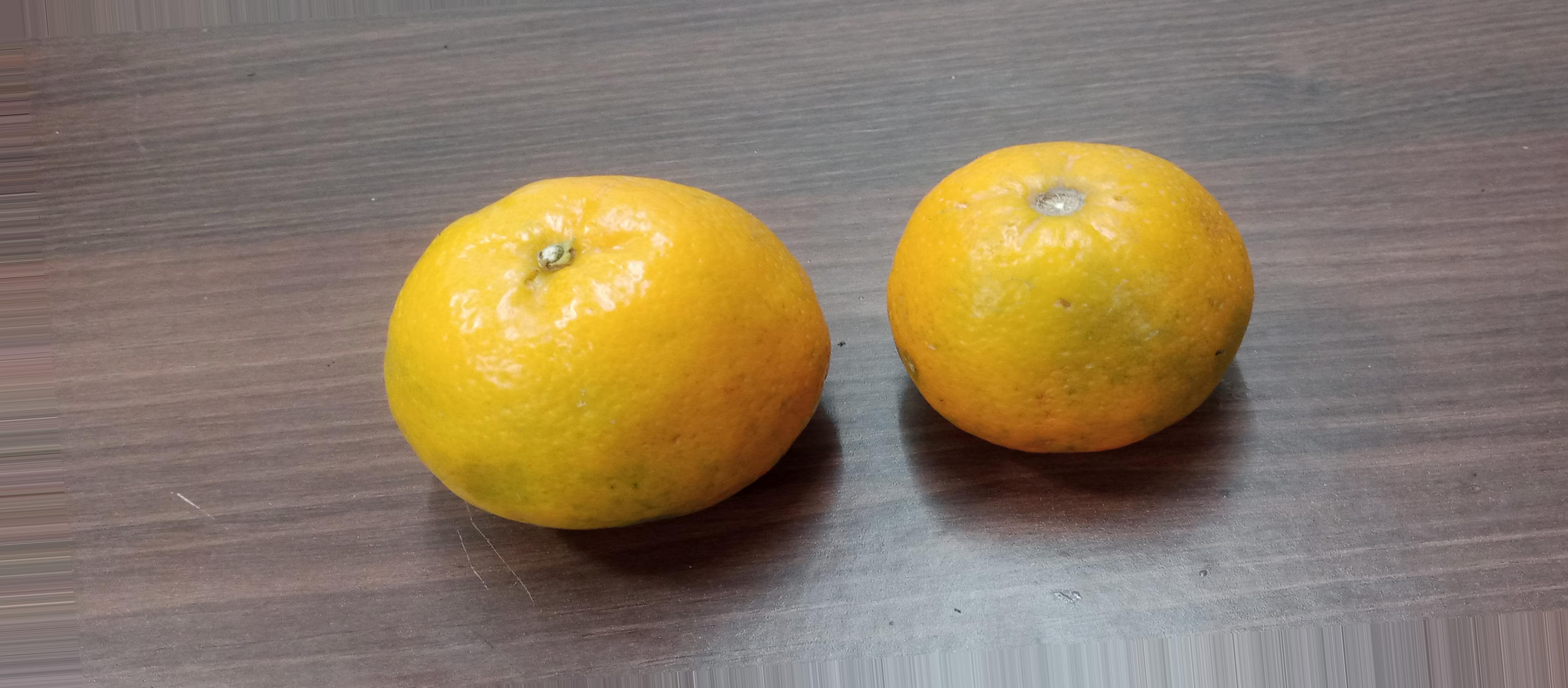 Detection Object Detection Dataset By Sidj2314