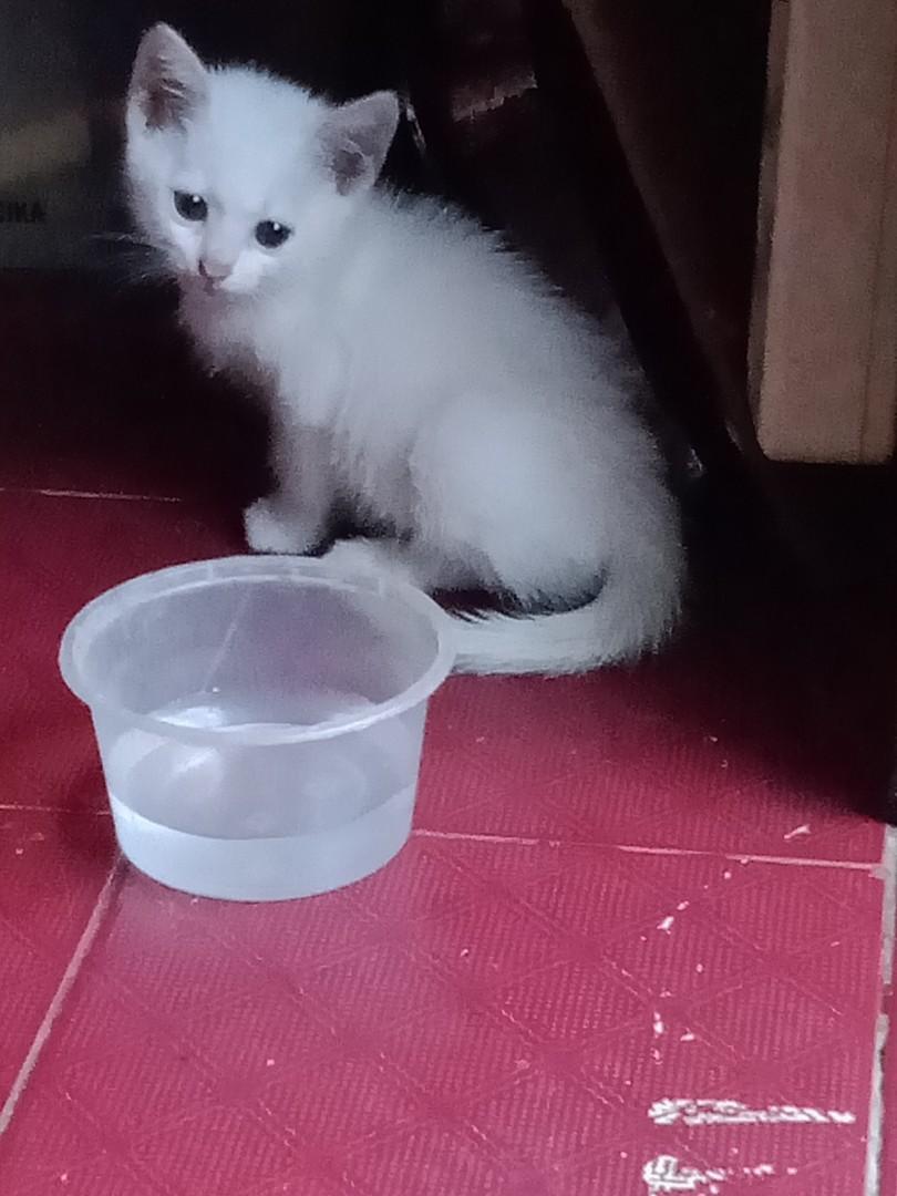 class:python-detection | Roboflow Universe Search