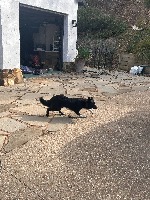 NFL Ball Tracking - Roboflow Universe