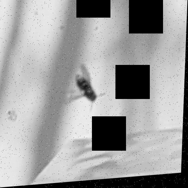 hornet_detection Object Detection Dataset by ESEO