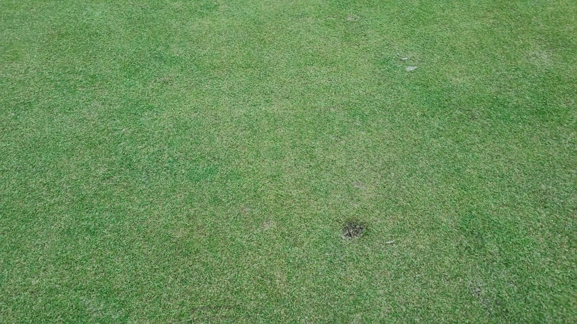 golf course grass damage detectn Object Detection Dataset by golf ...