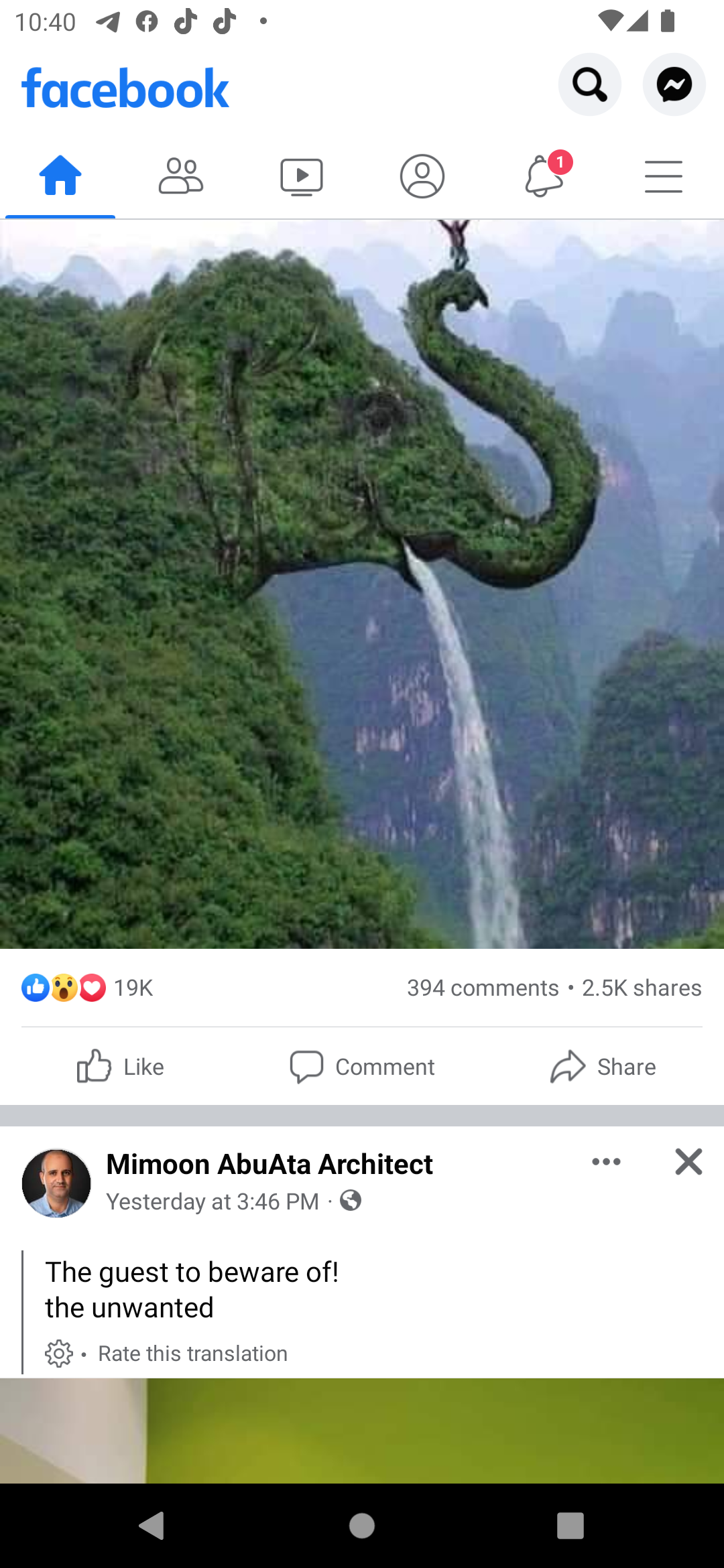 facebook Object Detection Dataset and Pre-Trained Model by tiktok