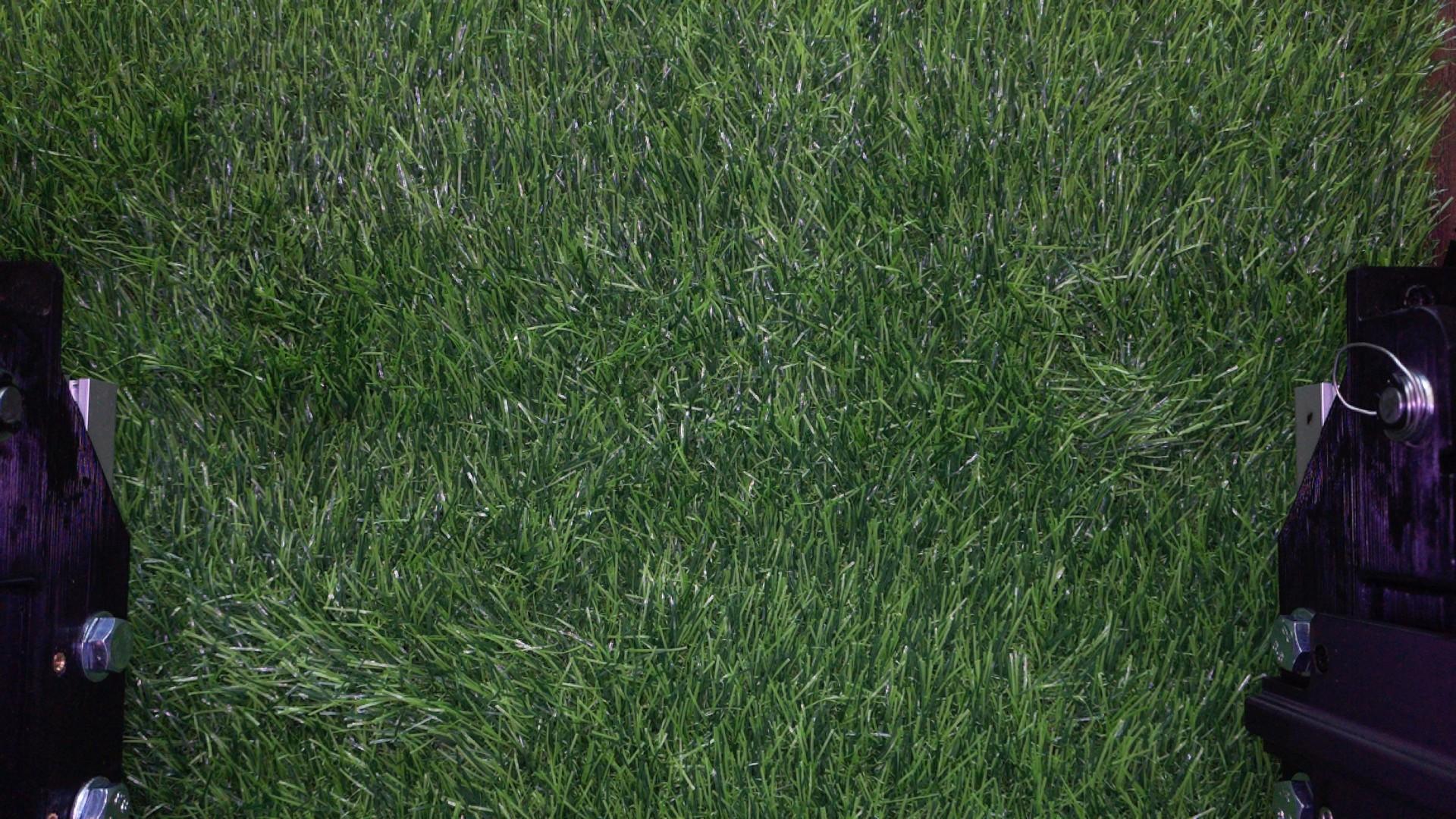 dandelion_keypoints Keypoint Detection Dataset by weedy