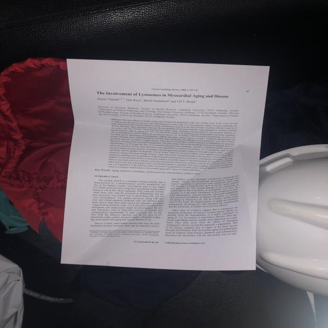 document-segmentation-v2 Instance Segmentation Dataset and Pre-Trained Model by University of Kerala