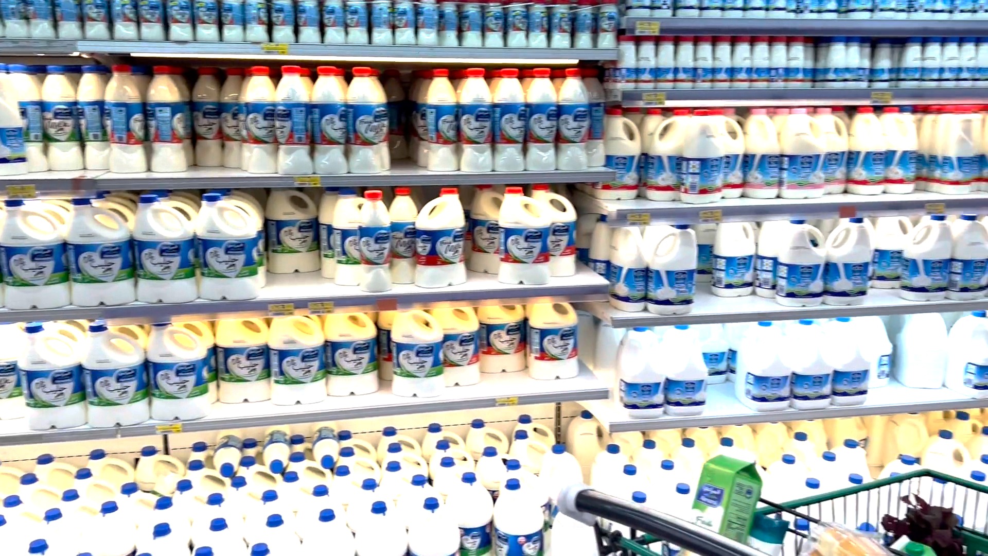 AlmaraiMilkVersionOne Object Detection Dataset and Pre-Trained Model by Planogram